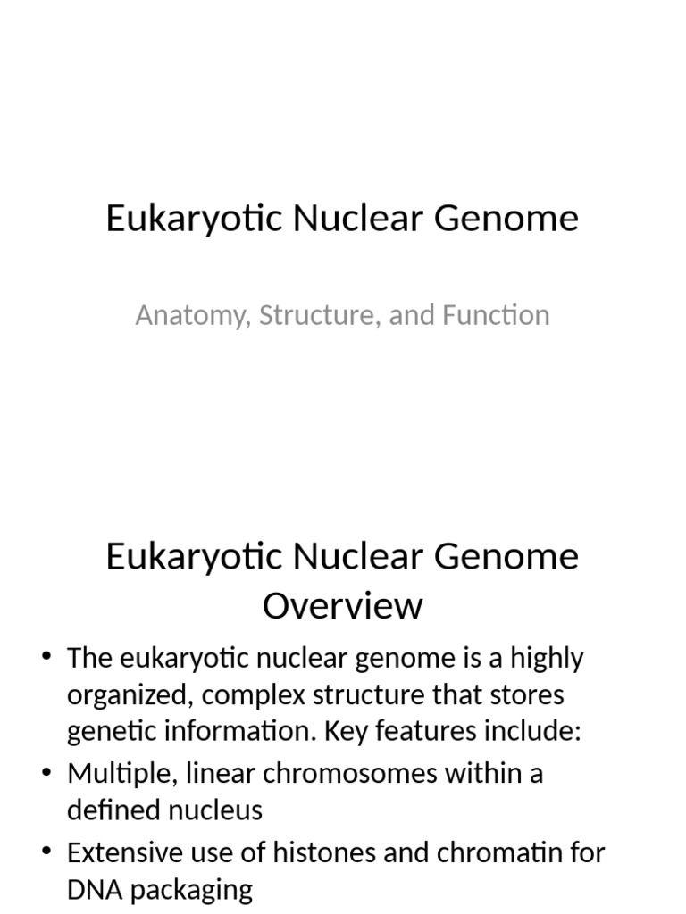 Eukaryotic Nuclear Genome Presentation | PDF