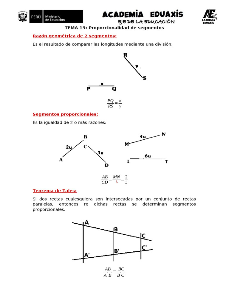 TEMA 13 - Proporcionalidad de Segmentos | PDF | Triángulo | Rectángulo