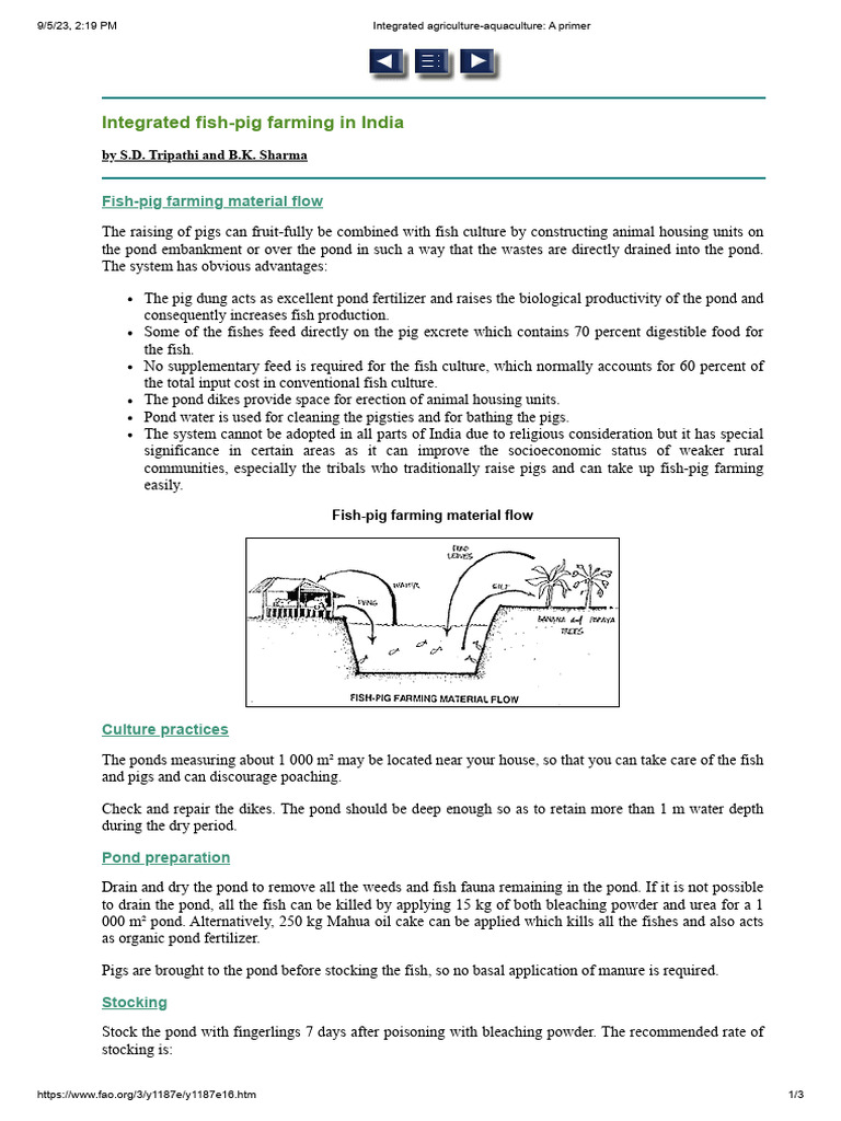 Pig Fish Integrated Farming | PDF | Pond | Agriculture