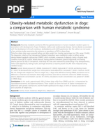 Canine Body Condition Scoring Guide | PDF | Abdomen | Vertebral Column