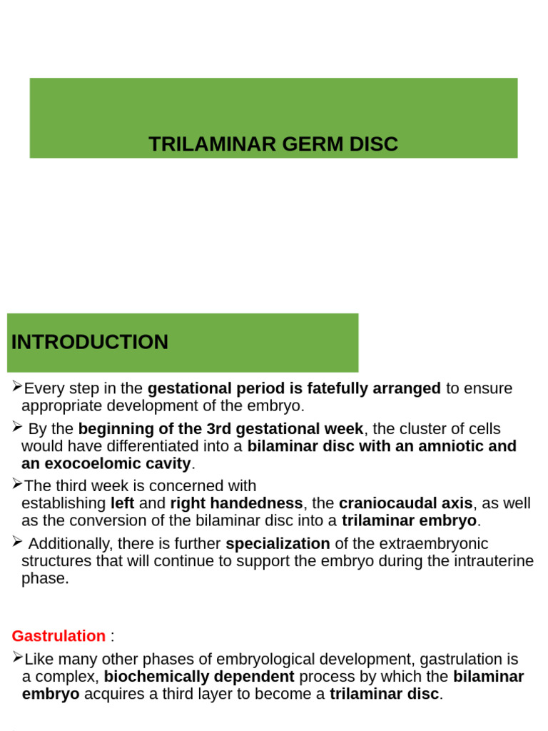 Trilaminar Germ Disc | PDF | Morphology (Biology) | Reproduction