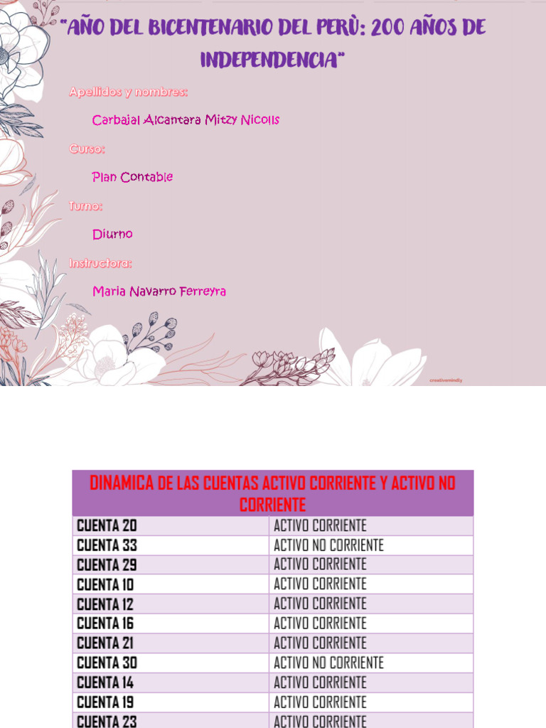 Activo Corriente y No Corriente | PDF