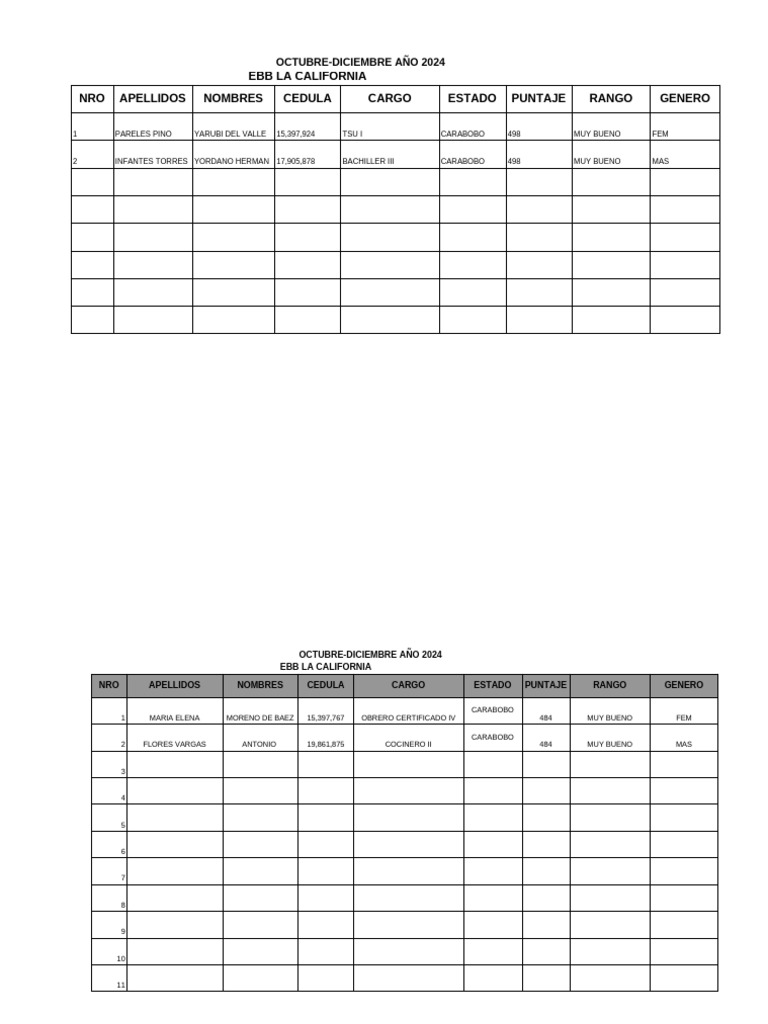 Formato Verificacion Odi 2 | PDF