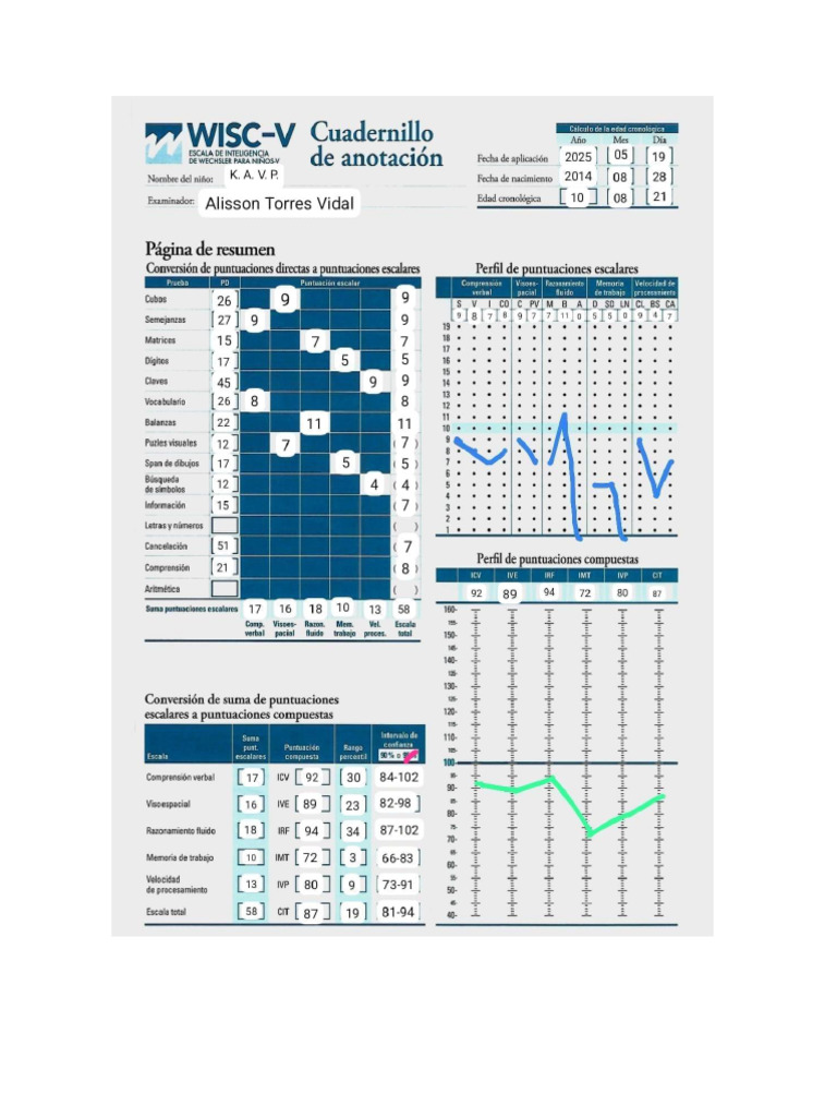 INFORME PSICOLÓGICO WISC V análisis primario (1) | PDF