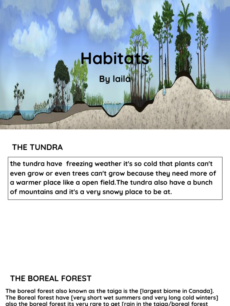 Overview of Tundra, Boreal Forest, and Desert Habitats | PDF