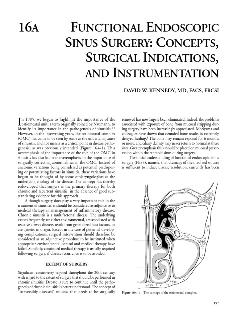 Functional Endoscopic Sinus Surgery | PDF | Human Nose | Surgery