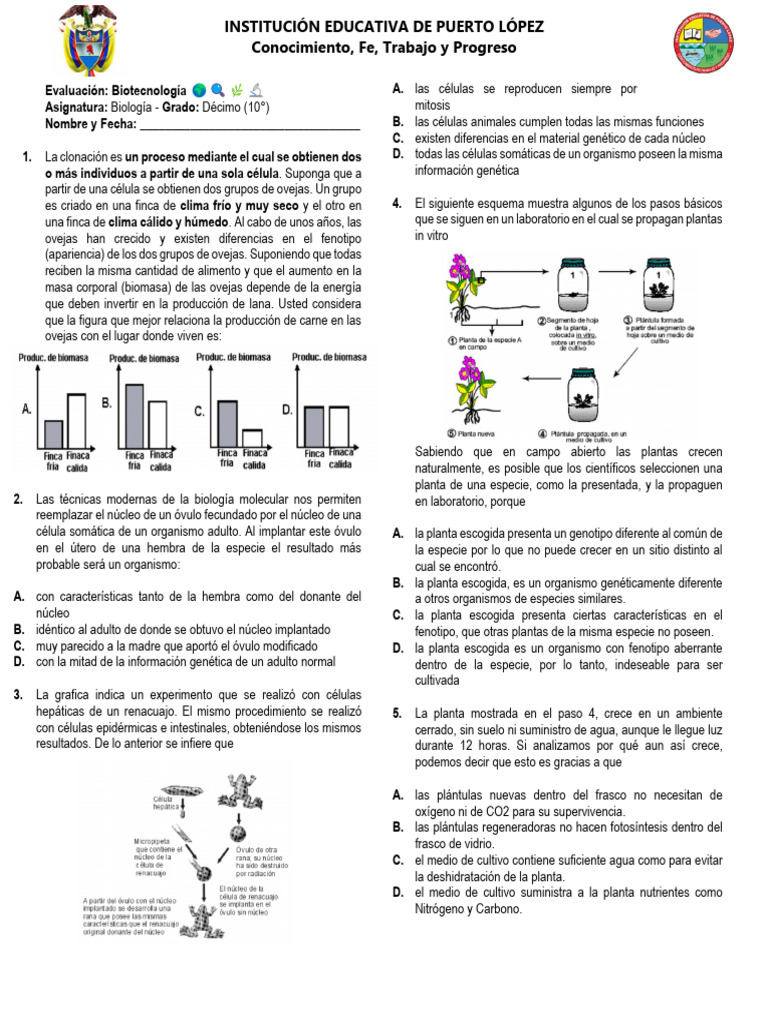 Evaluación Décimo (10°) Biotecnología | PDF | Plásmido | Gene