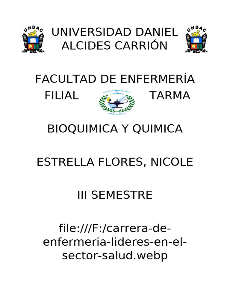 Portada de Folder Nicol | PDF