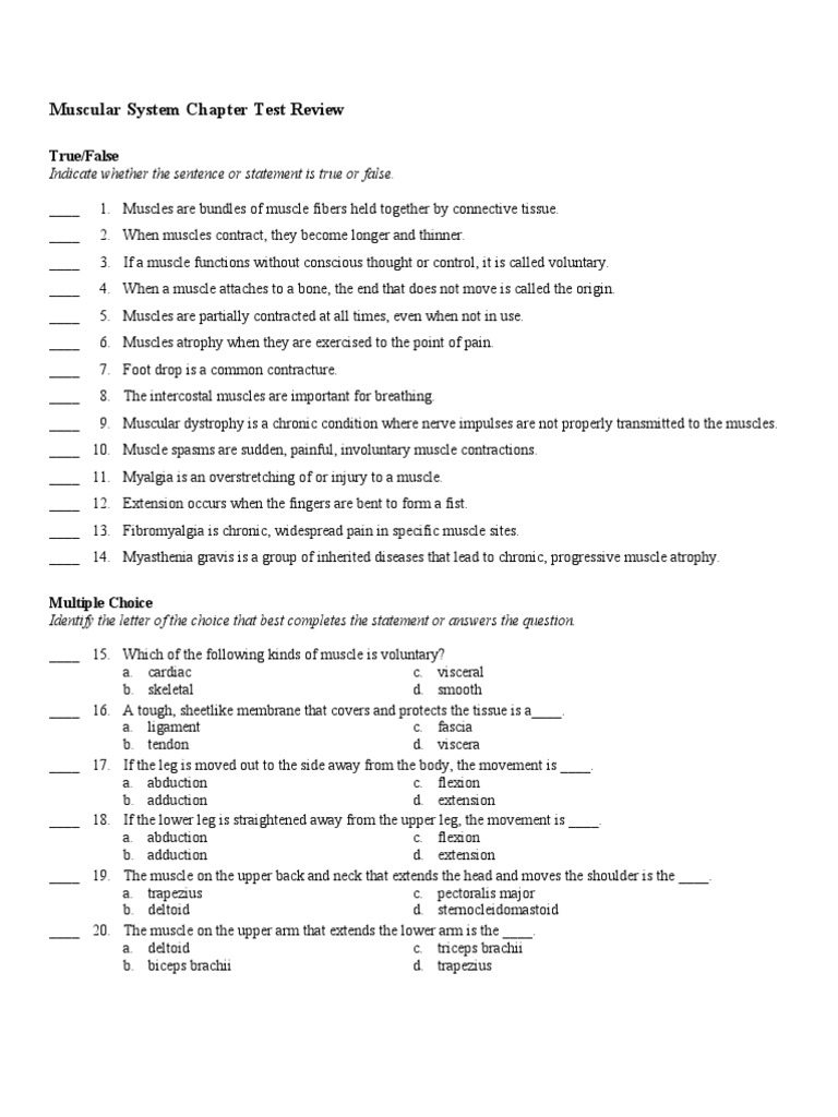 Muscular System Chapter Test Review | PDF | Muscle | Anatomical Terms ...