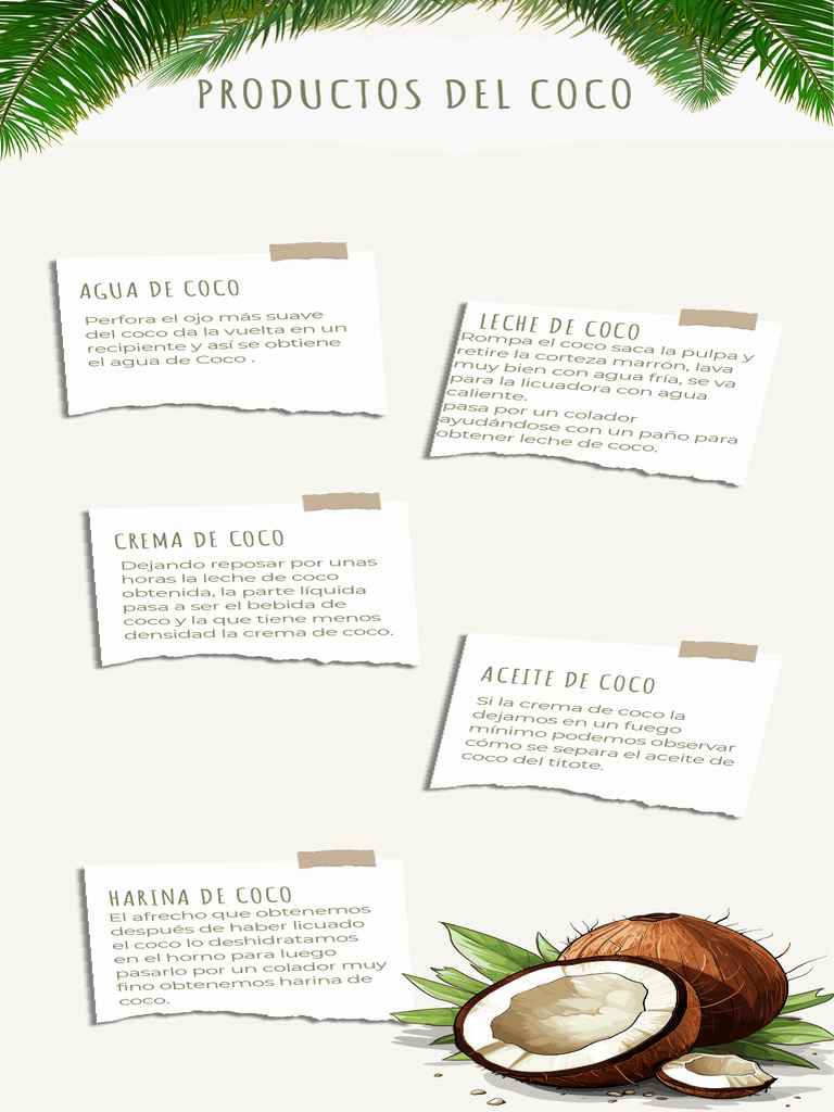 Producción Conexa Del Coco | PDF