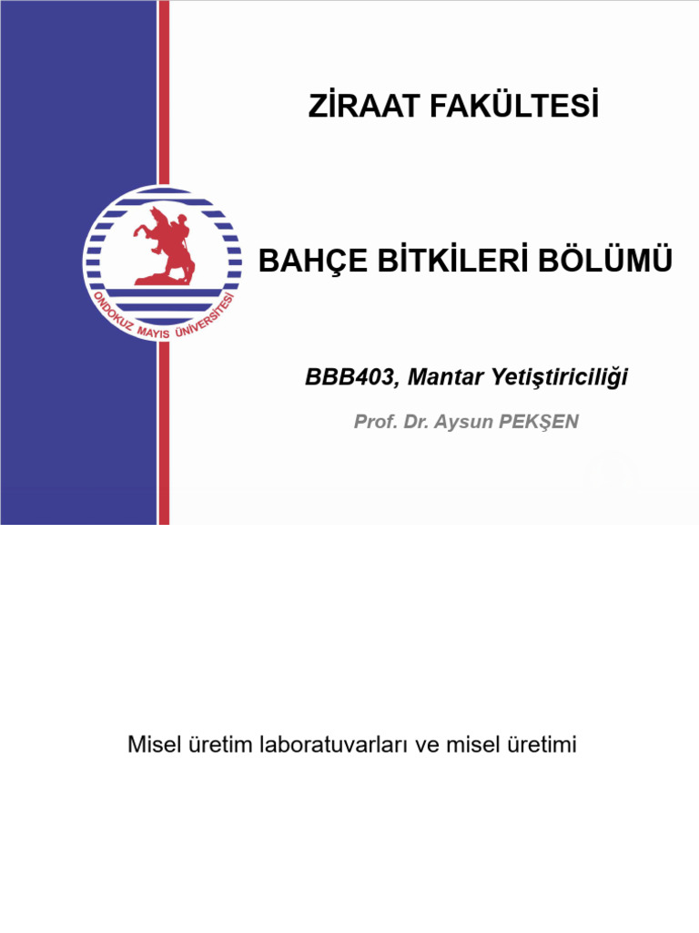 10 - Misel Üretim Laboratuvarları Ve Misel Üretimi | PDF