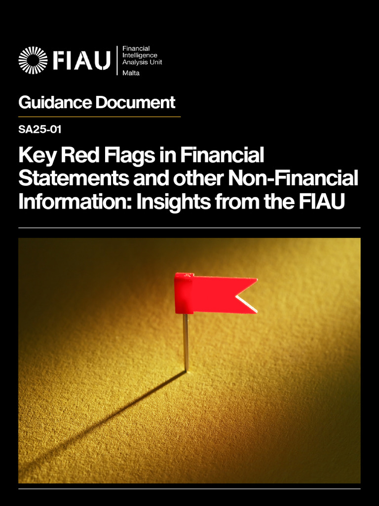 SA25 01 Key Red Flags in Financial Statements and Other Non Financial ...