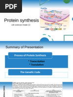 Analogy For Protein Synthesis ?? | PDF | Translation (Biology ...