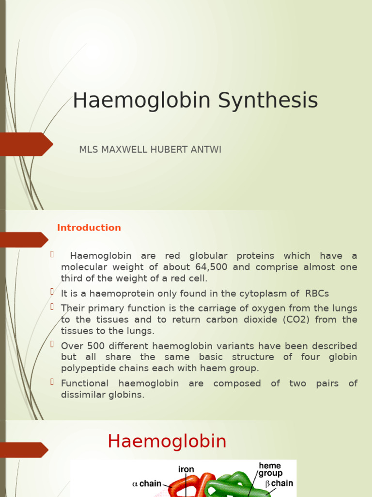 Haemoglobin Synthesis Overview | PDF | Hemoglobin | Cell Membrane