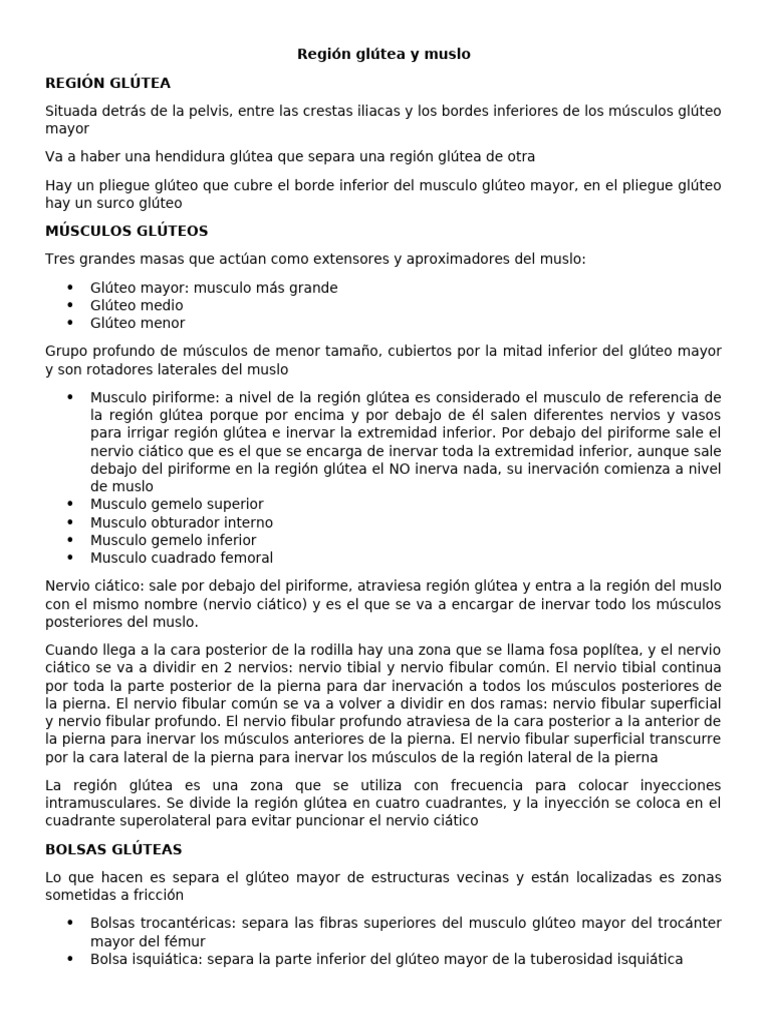 Región Glútea y Muslo | PDF | Sistema musculoesquelético | Anatomía del ...