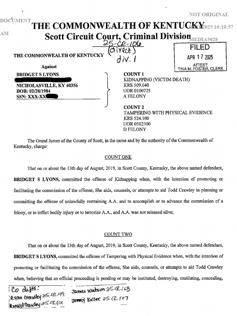 Bridget Lyons Indictment | PDF
