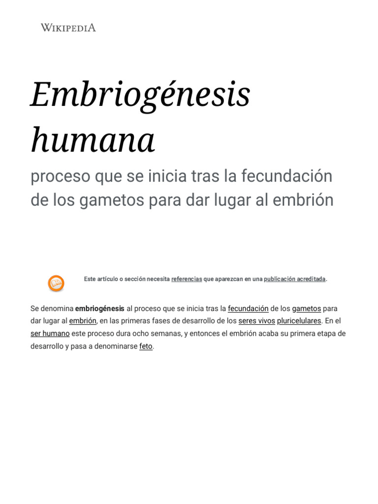 Embriogénesis Humana - Wikipedia, La Enciclopedia Libre | PDF ...