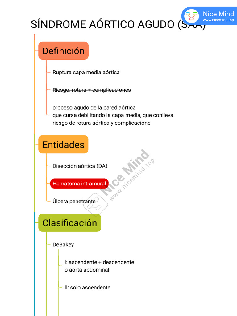 Síndrome Aórtico Agudo: Definición y Tratamiento | PDF