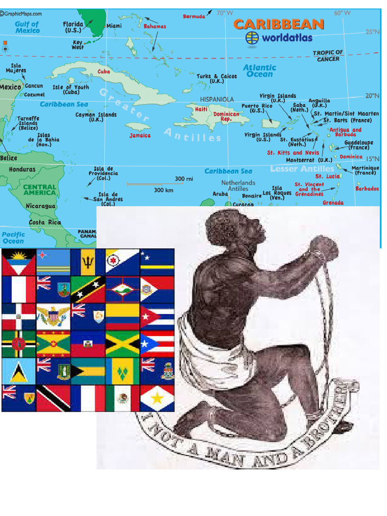 Caribbean Studies Syllabus Overview 2025 | PDF | Caribbean | Diaspora