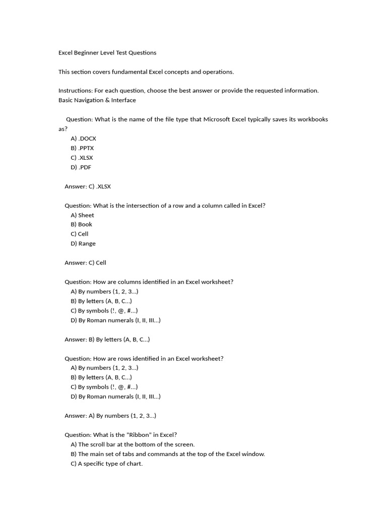 Excel Beginner Level Test Questions | PDF | Microsoft Excel | Software