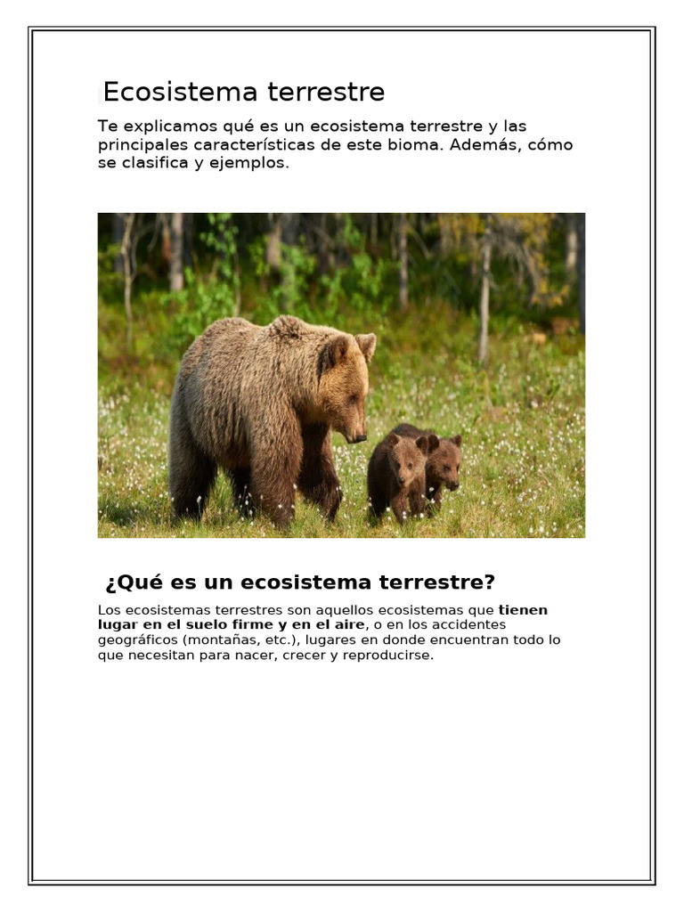 Ecosistema Terrestre | PDF | Ecosistema | Pradera