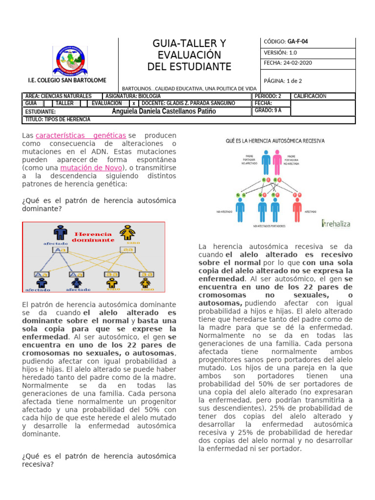 Tipos de Herencia. | PDF | Dominancia (Genética) | Alelo