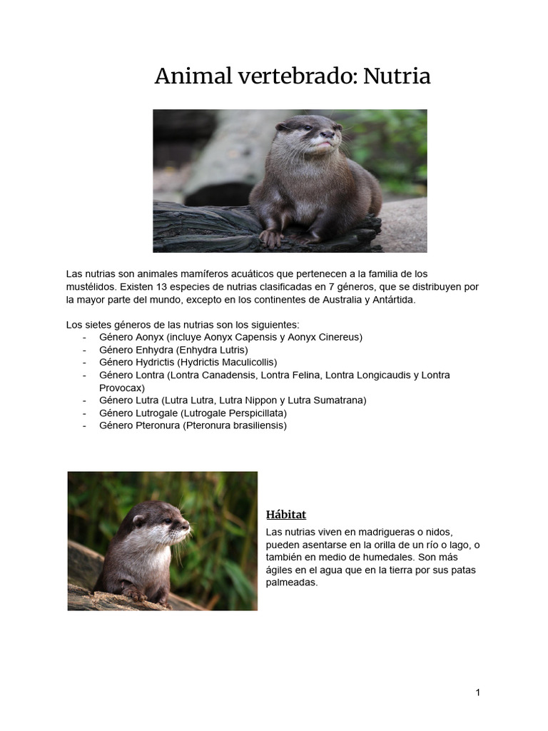 Especies y características de nutrias | PDF | Nutria | Piel