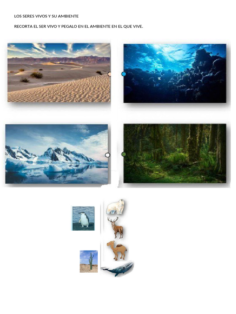 Los Seres Vivos y Su Ambiente | PDF