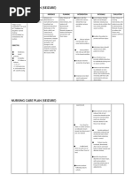 Nursing Care Plan for Seizures | PDF | Nursing | Behavior