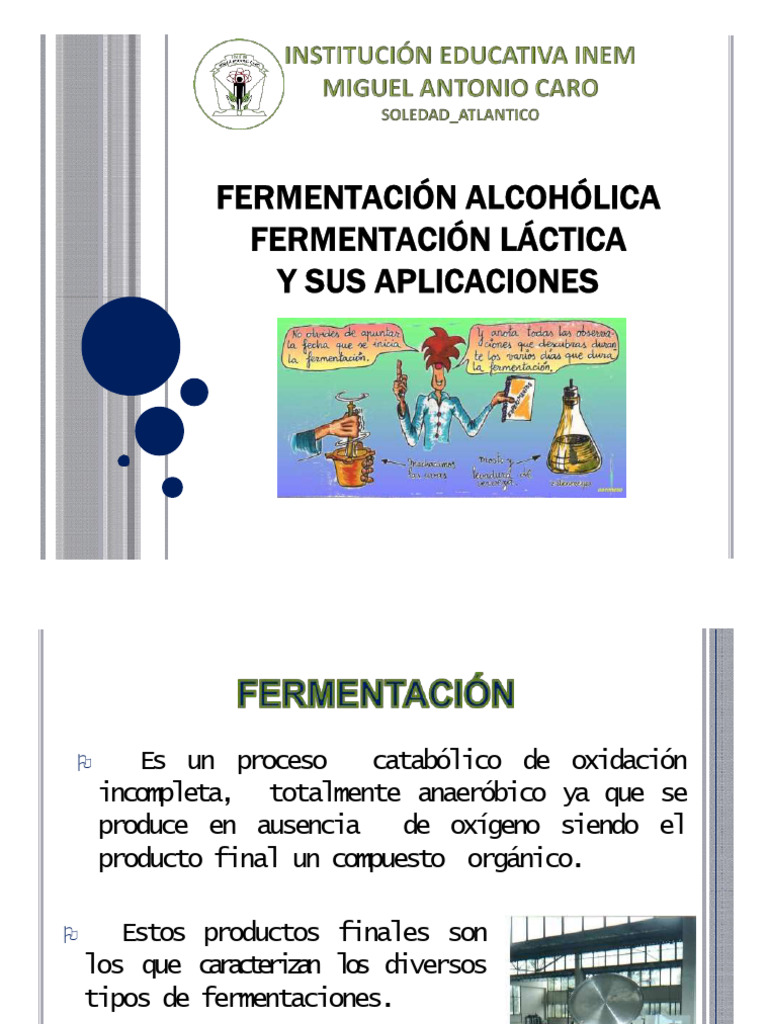 Fermentacion Alcoholica y Lactica | PDF | Fermentación | Levadura
