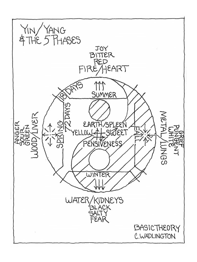 BT 5 E Circular Chart | PDF