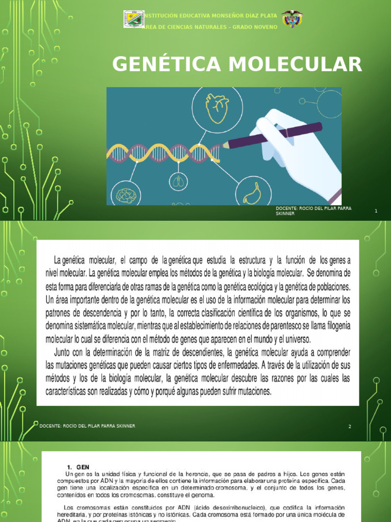 Genética Molecular | PDF | Genética | Rna