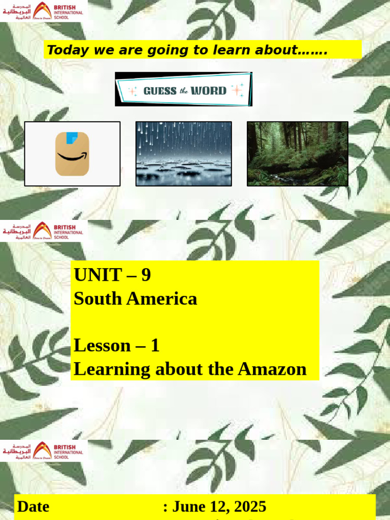 Understanding the Amazon Rainforest | PDF | Amazon Rainforest | Rainforest