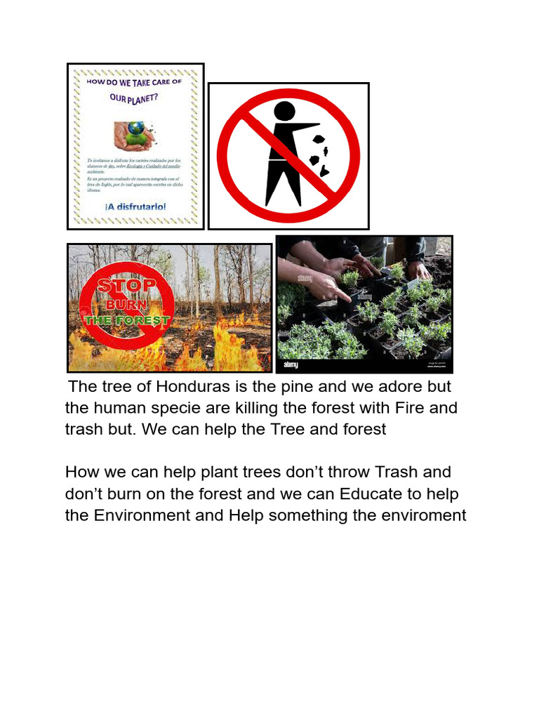 Documento Sin Título - Documentos de Google | PDF