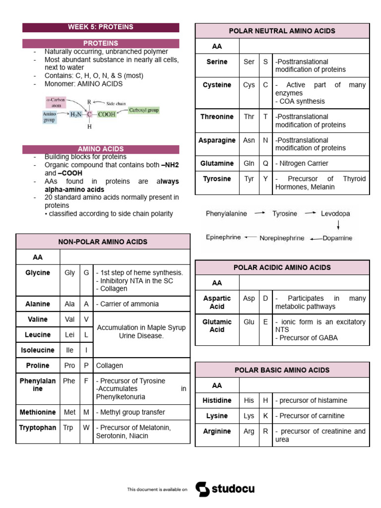 Biochem Midterm Transes | PDF | Enzyme Inhibitor | Amino Acid