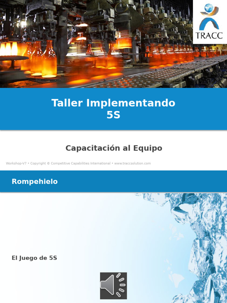 Capacitacion 5S en El Trabajo | PDF