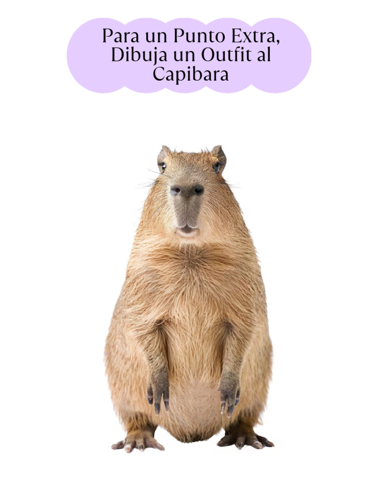 Capibara | PDF