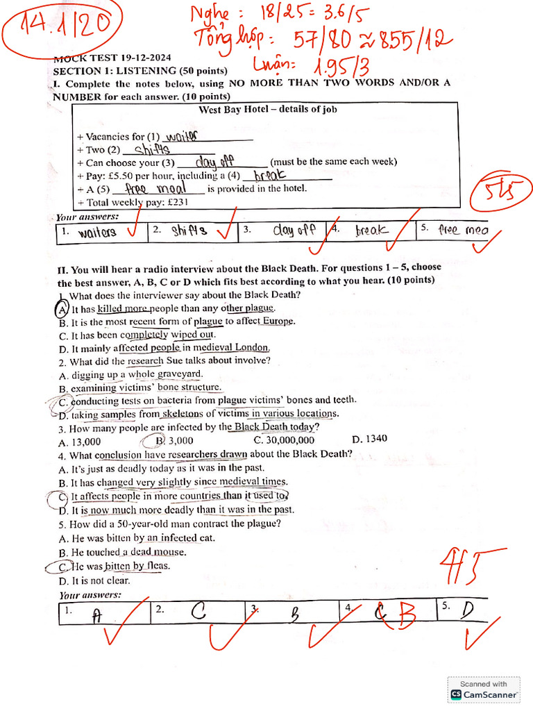 Ha Anh Evaluative Test 19-12-24 | PDF
