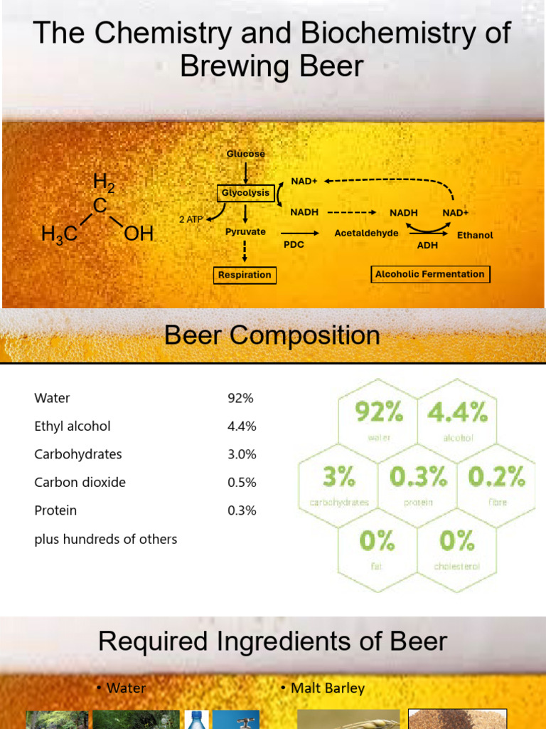 Chemistry of Beer Brewing Process | PDF | Brewing | Beer
