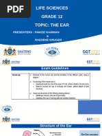 Auditory Nerve and Sound Transmission | PDF | Ear | Auditory System