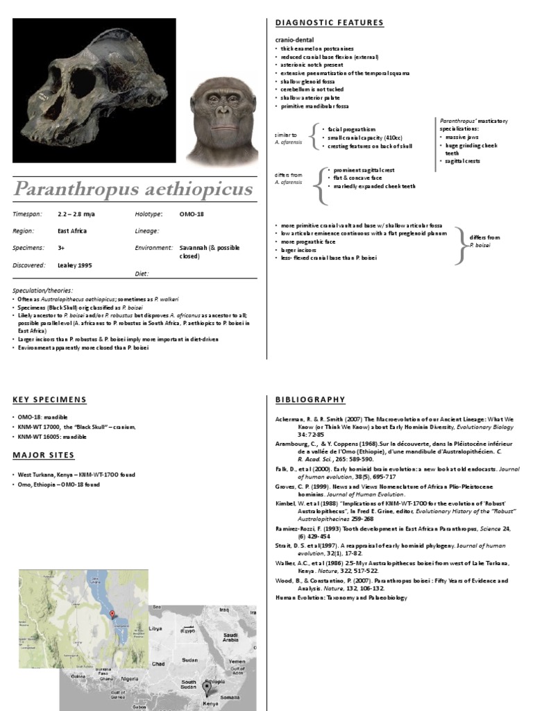 Paranthropus Aethiopicus - Cheatsheet | PDF | Hominini | Pliocene