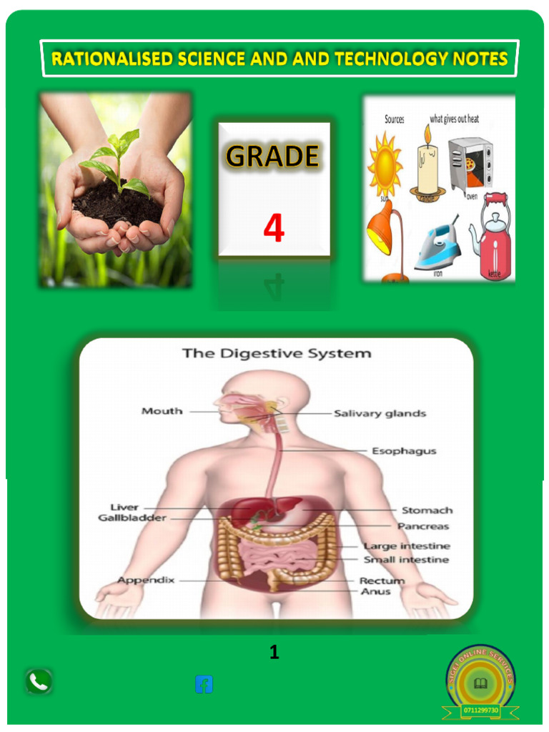 Grade 4 Science: Plants and Animals | PDF | Waste | Friction