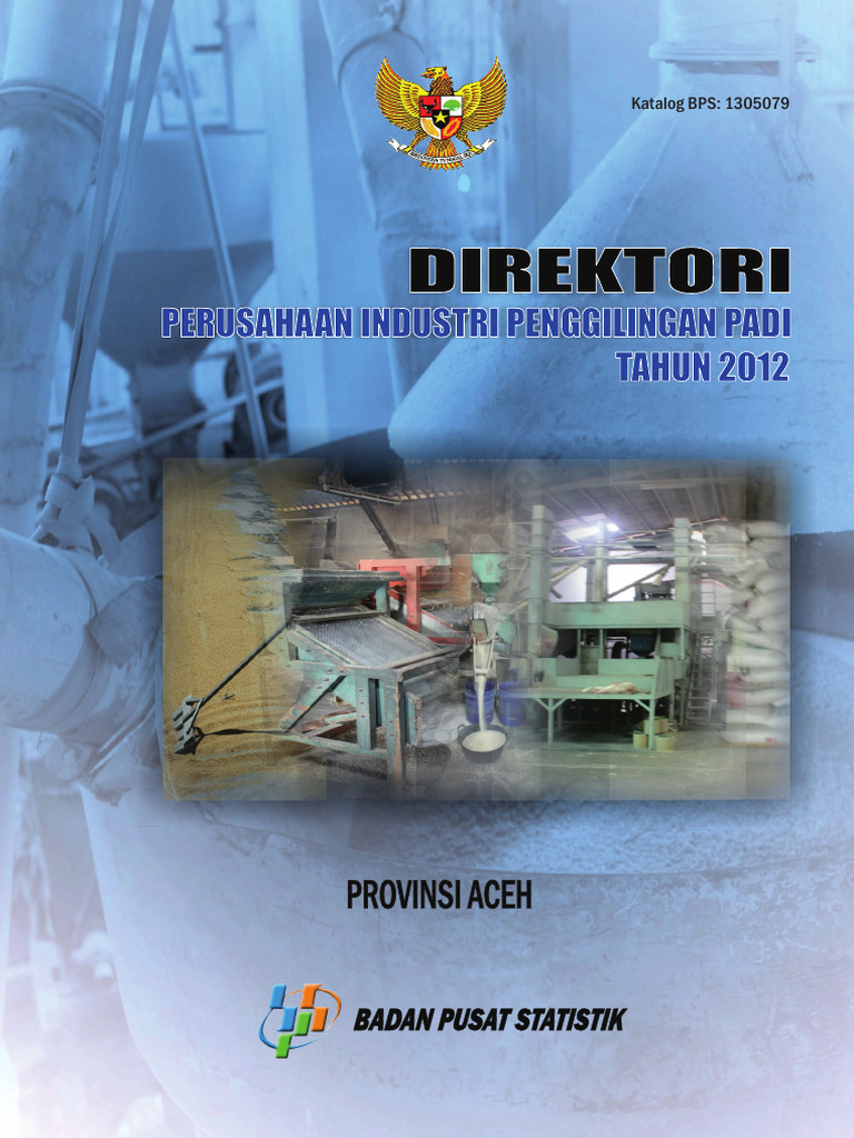 RMU Provinsi Aceh | PDF