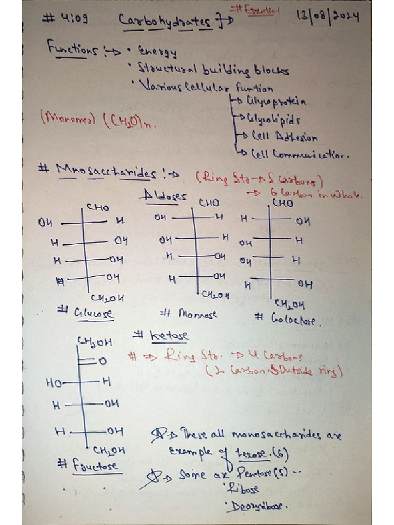 Carbohydrates Notes Biology Imat - 20250522 - 210101 - 0000 | PDF