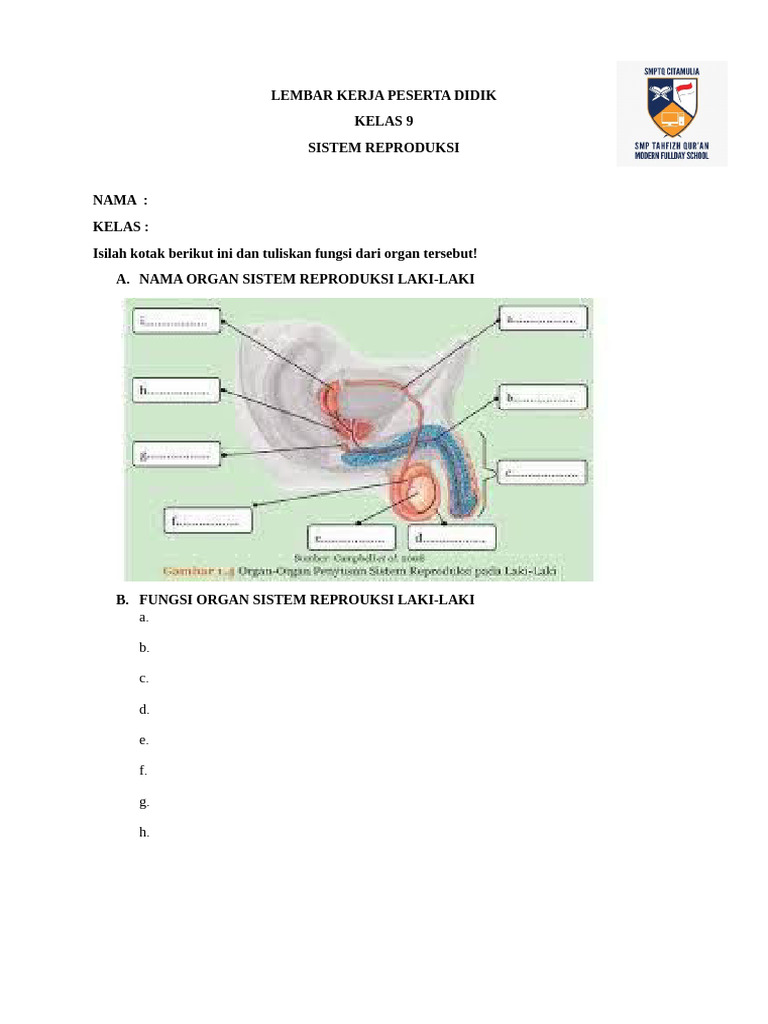 LKPD Sistem Reproduksi 1 | PDF