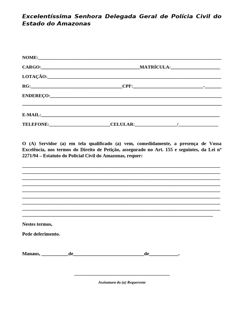 Requerimento Geral 2021 | PDF