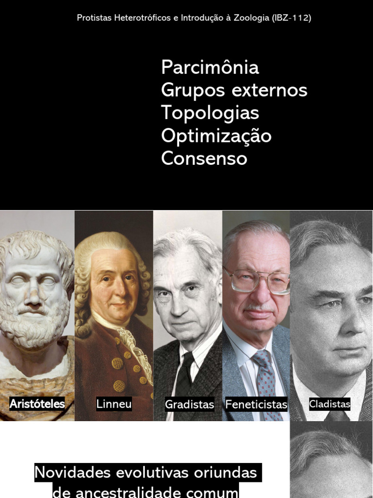 Critério de Parcimônia em Filogenética | PDF | Filogenética | Evolução ...