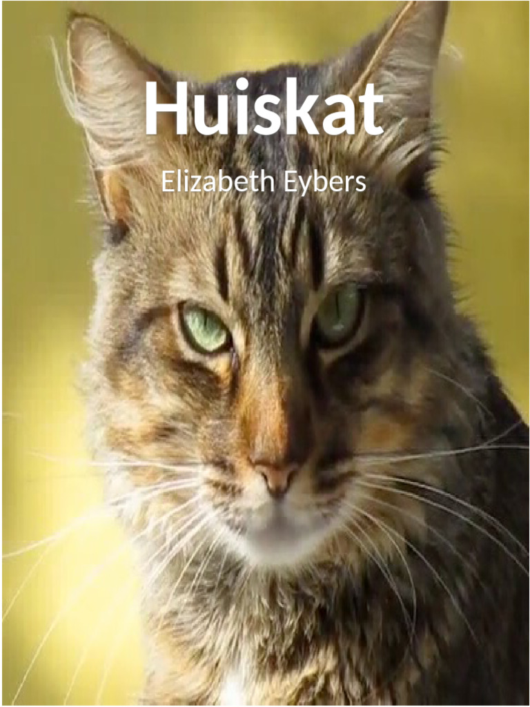 Huiskat Notes | PDF