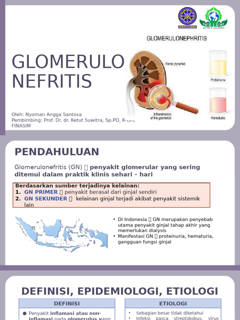 Glomerulonefritis | PDF