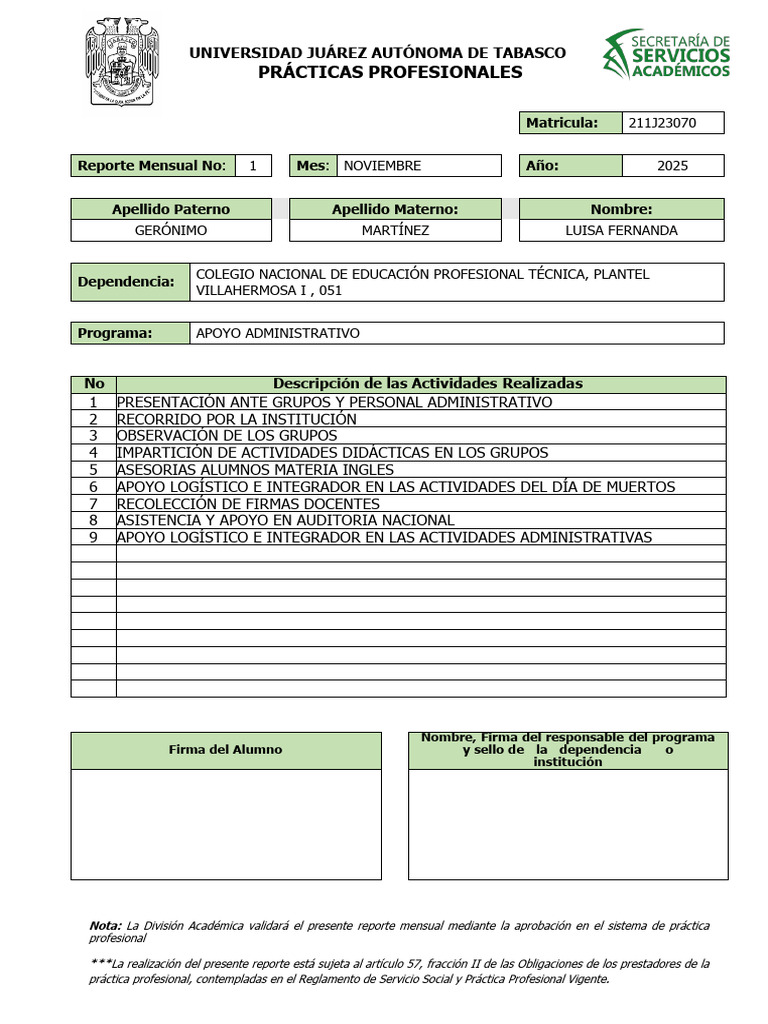 Reporte 20noviembre Luisa | PDF